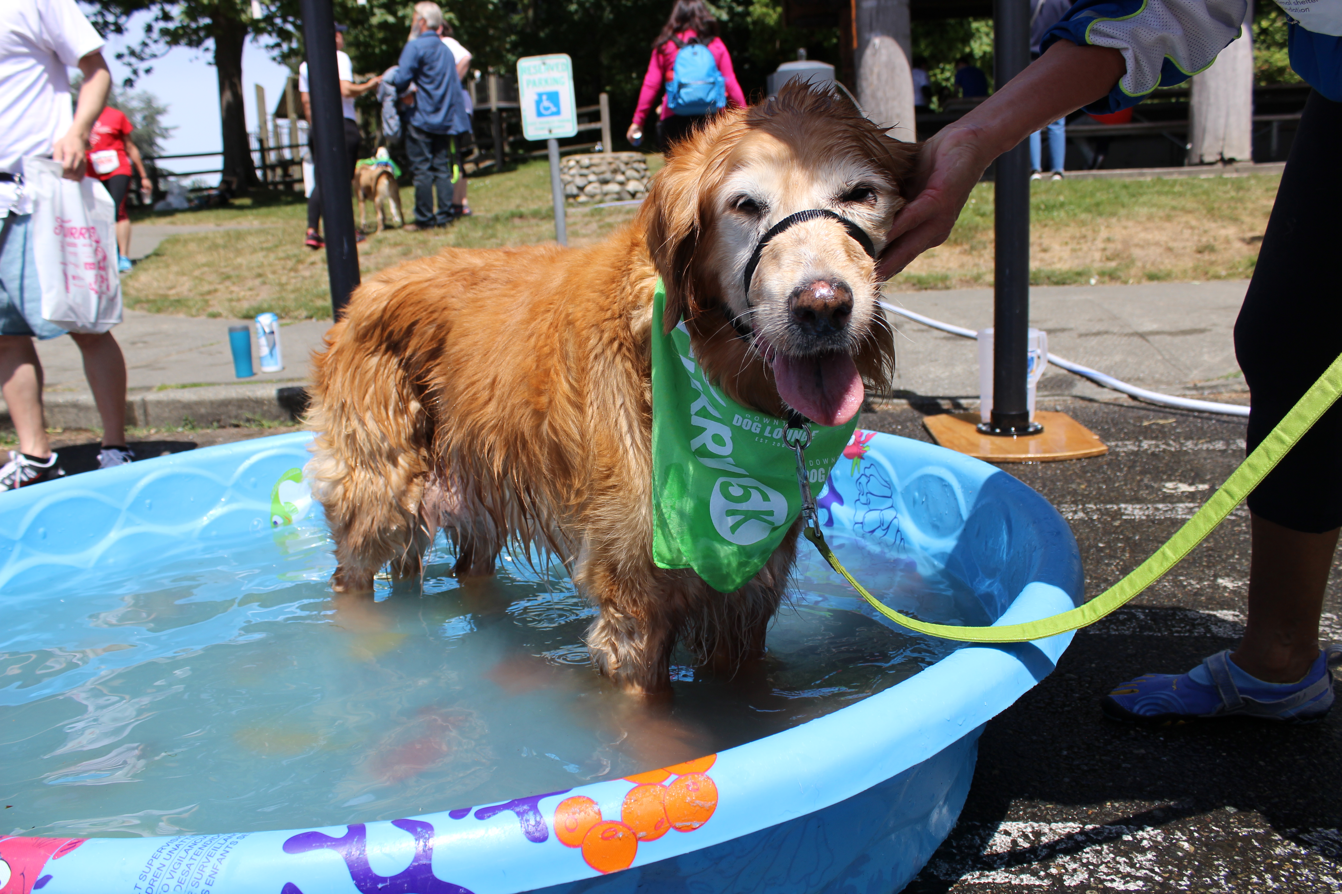 Join us for the 2022 Furry 5K